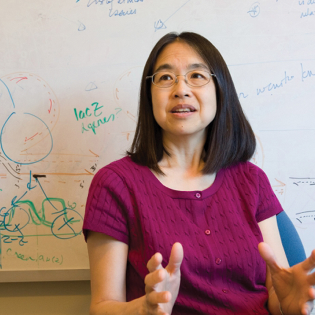 George Church & Ting Wu | EG Conference